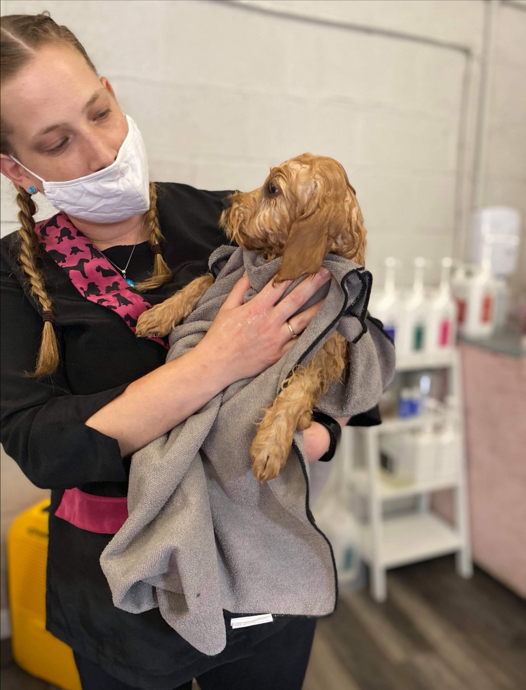 Missy Moos First Puppy Party – Dog Grooming Newport, Dog Grooming ...